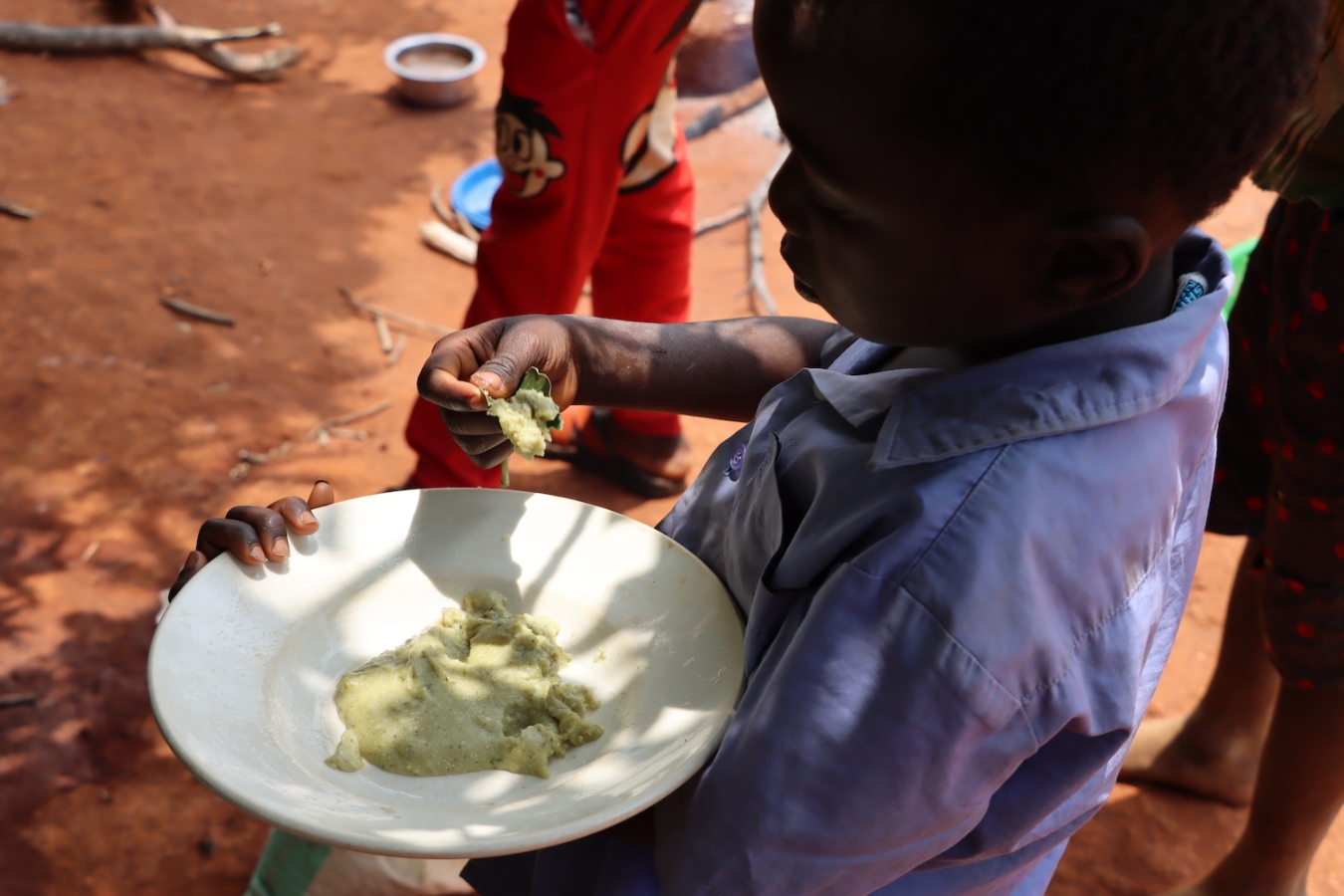 Maize Flour: A Global Culinary Journey | Freerice